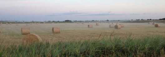 Have I had one too many gins or did that haystack just shrink? | Blue ...